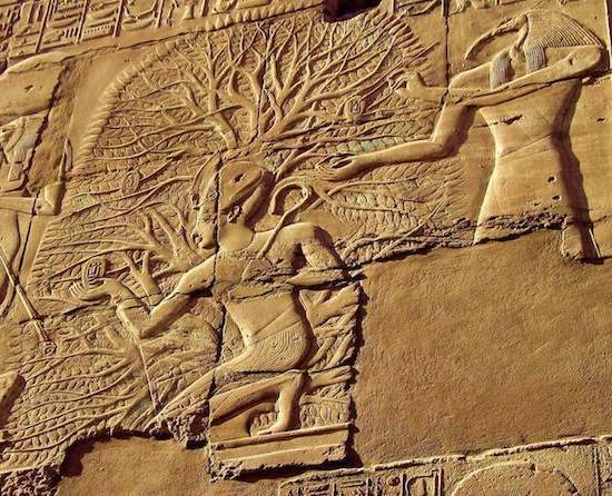 Thoth | Sacred Geometry